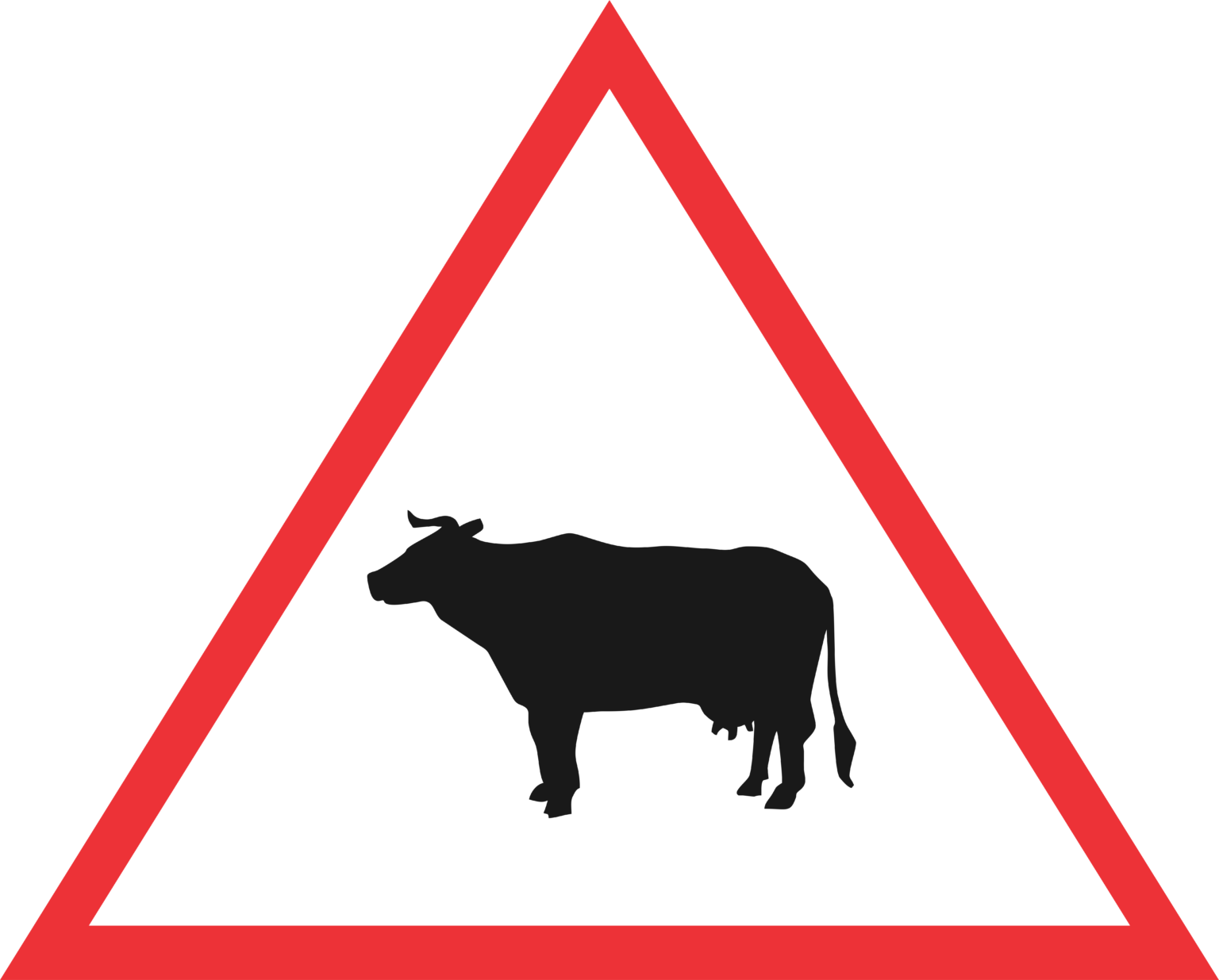 eTest for Driving Licsense - Peshawar Traffic Police